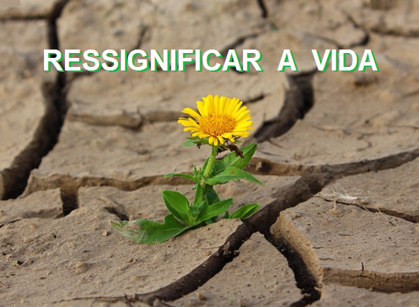 RESSIGNIFICAR A VIDA « Conteúdo que ajuda equilibrar trabalho e vida.
